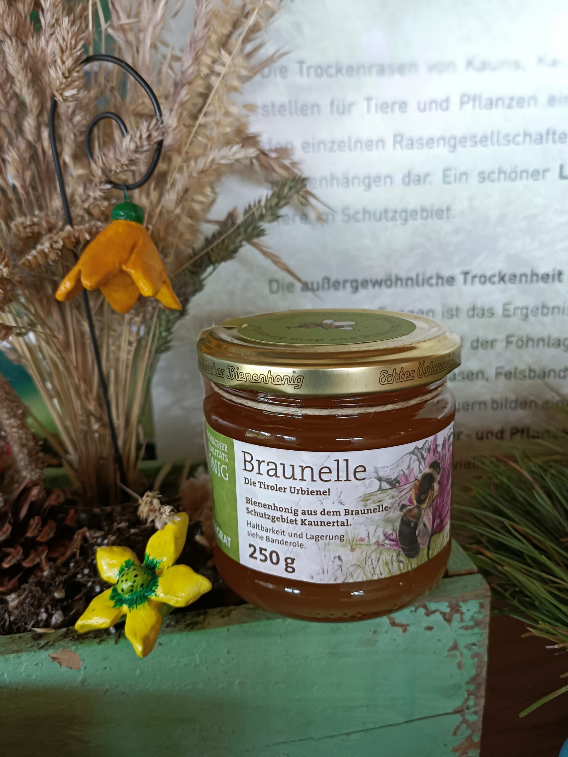 Kurznachrichten: Die Poetry Slammerin aus Oberstaufen und der Braunelle ...